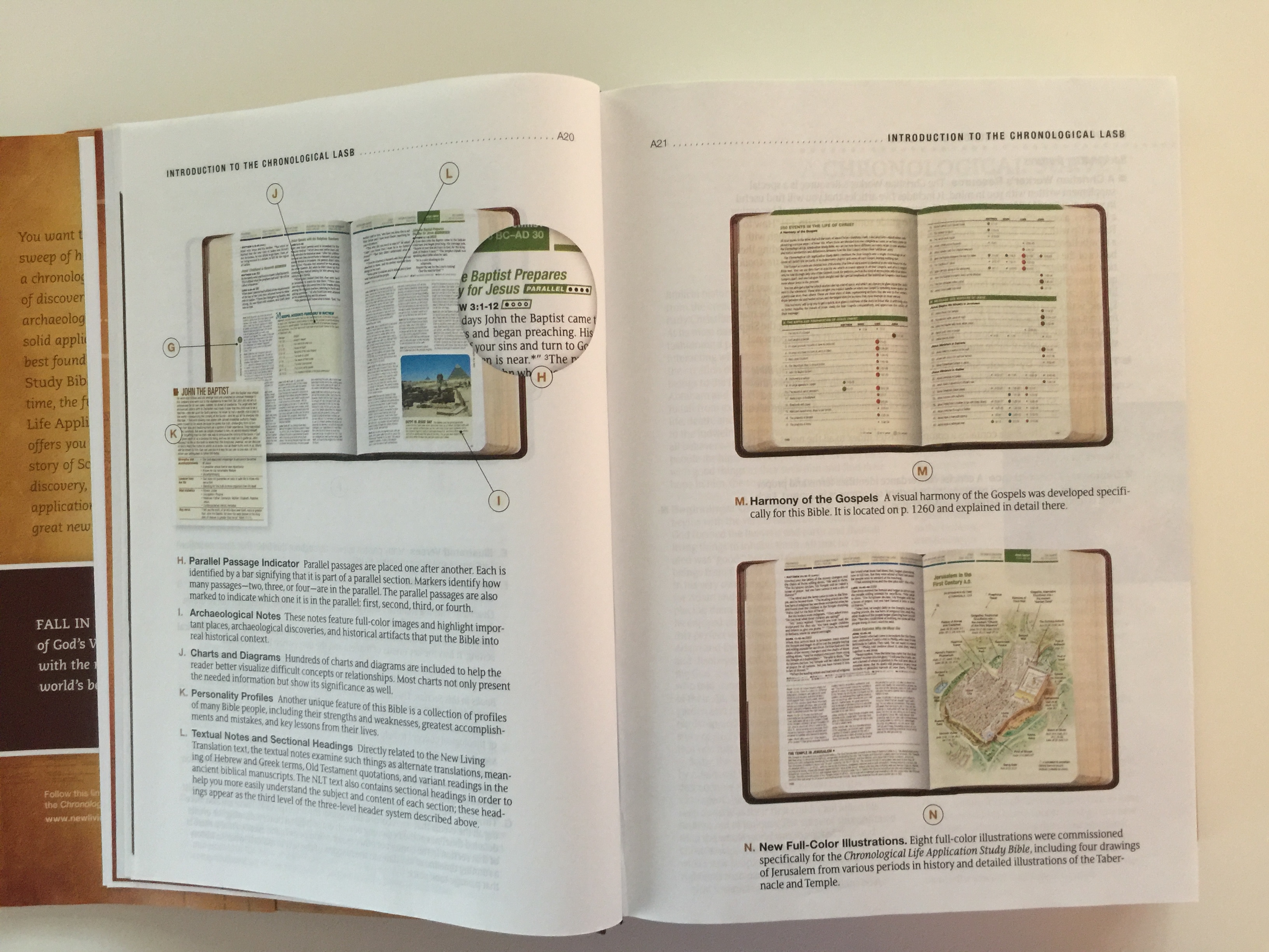 Tyndale Chronological Life Application Study Bible NLT Review • Bible ...