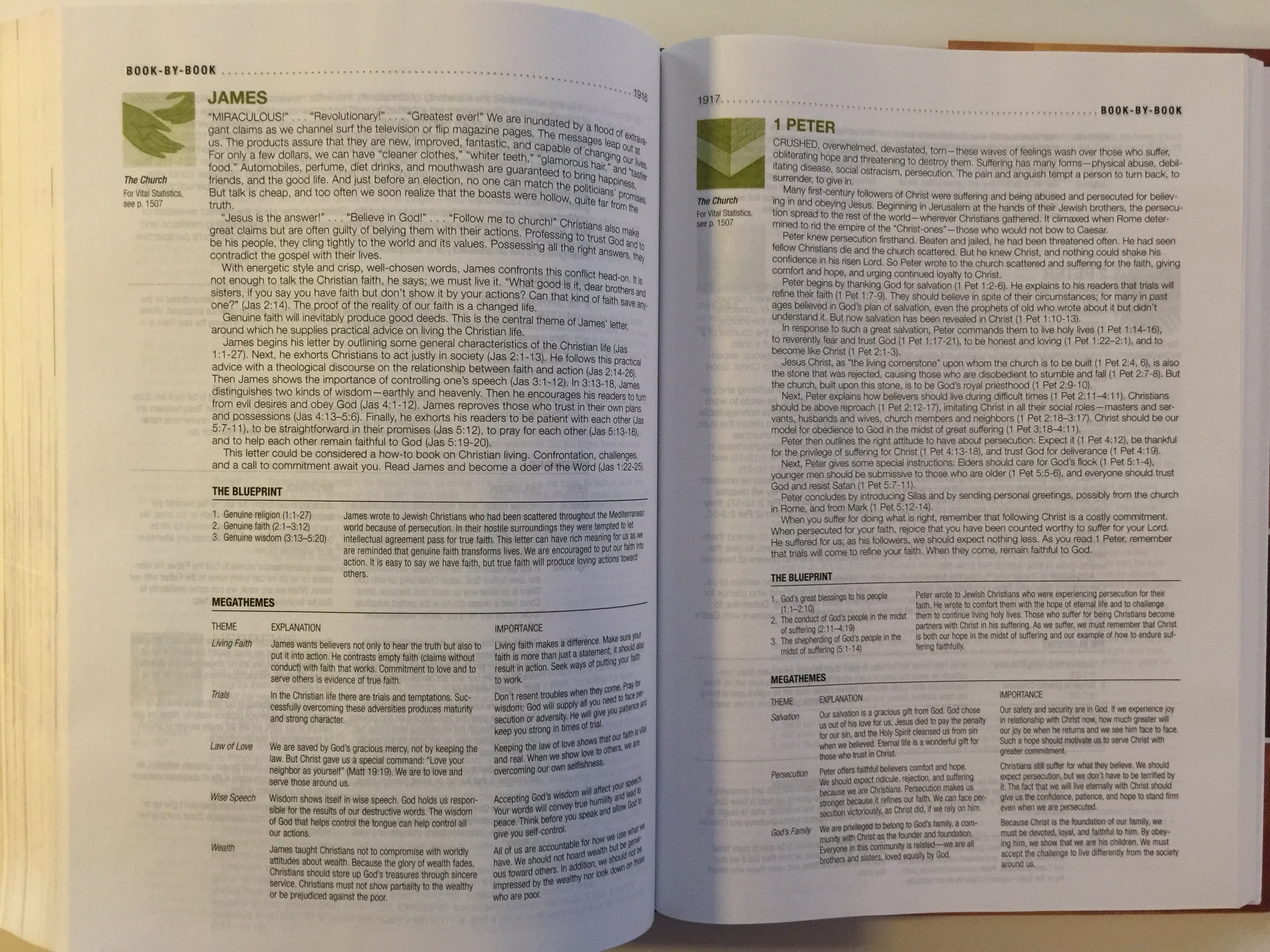 Tyndale Chronological Life Application Study Bible NLT Review • Bible ...